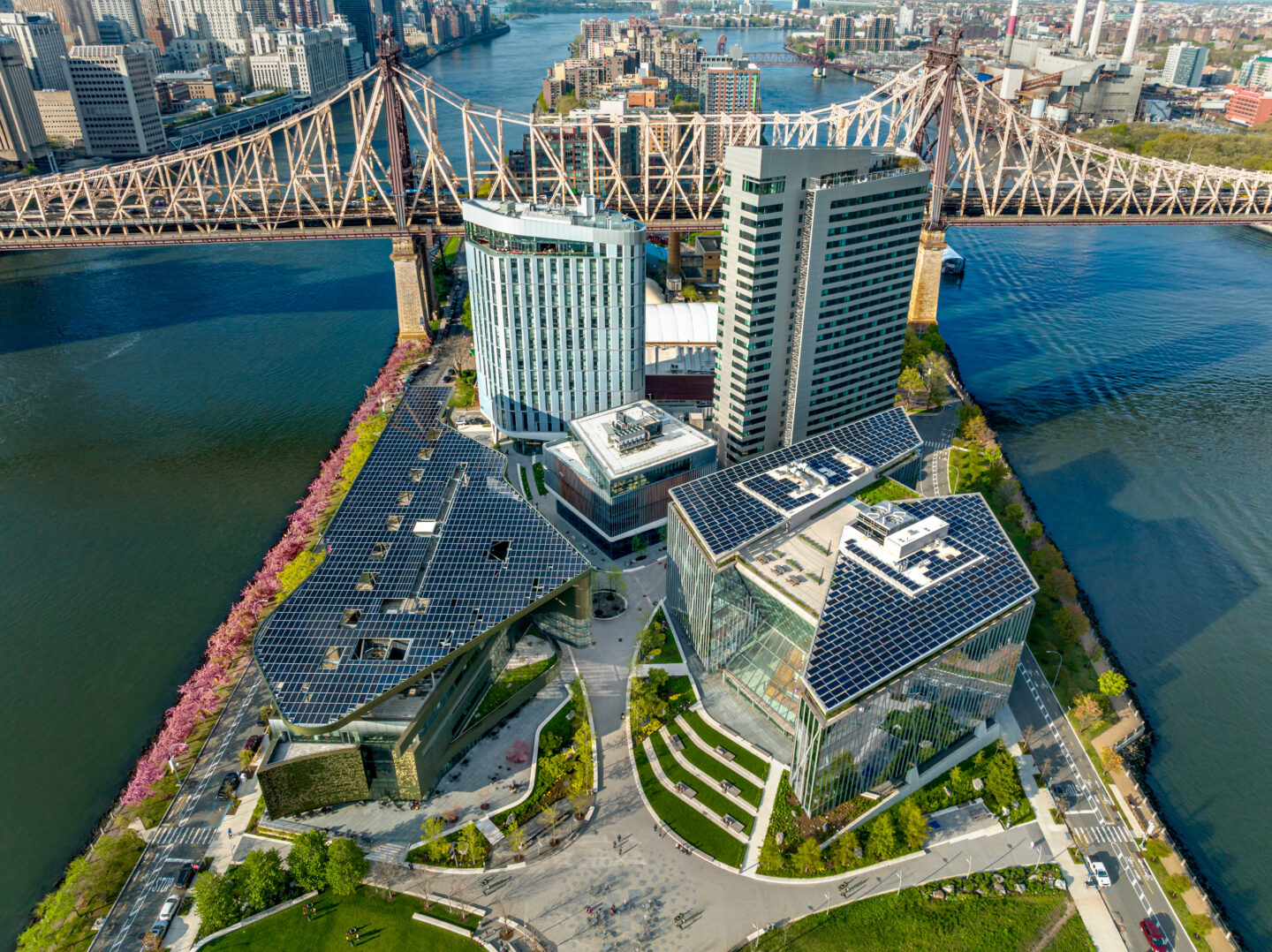 Cornell Tech - Runway Startups